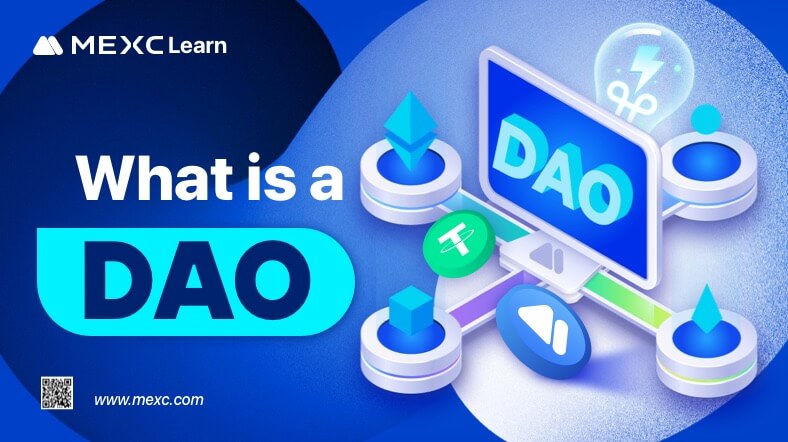 What is a DAO?