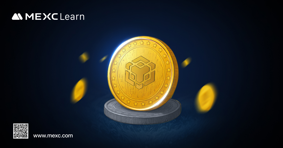 吉卜力風潮來襲，BNB Chain 持續引爆加密熱潮 - MEXC新手學院