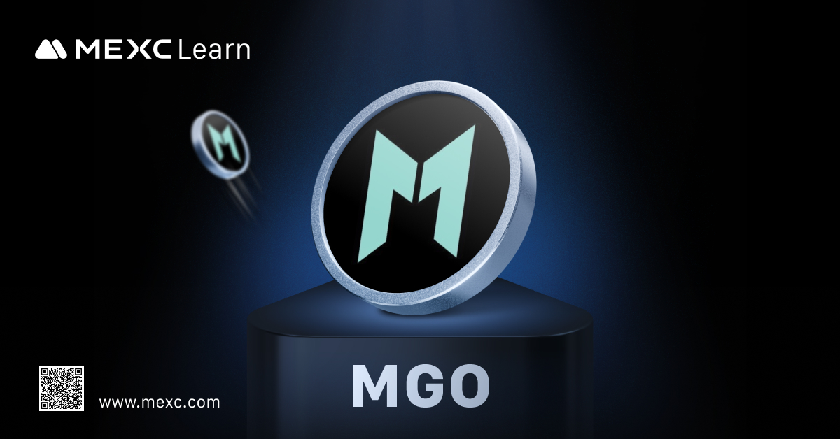 What Is Mango Network? A Comprehensive Look at the Next-Generation ...