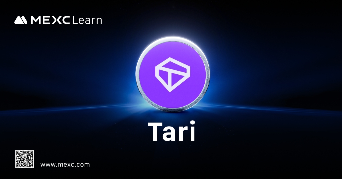 What is Tari? Building a Privacy-First Paradigm for Asset Management