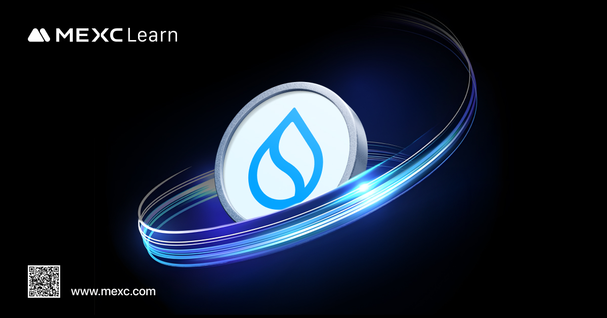 What Is Sui? A Guide to the Next-Generation High-Performance Public ...